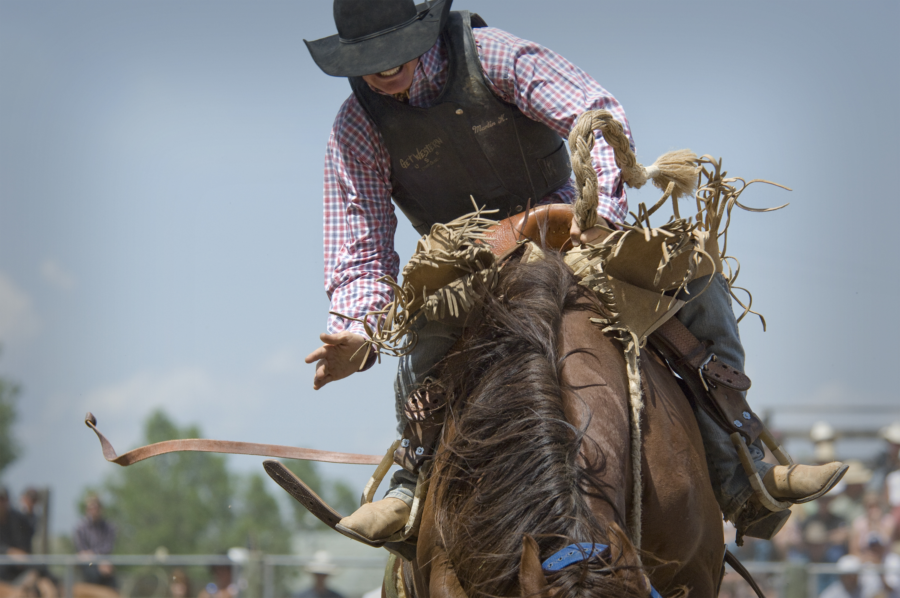 Bronco Rider Shutterbug